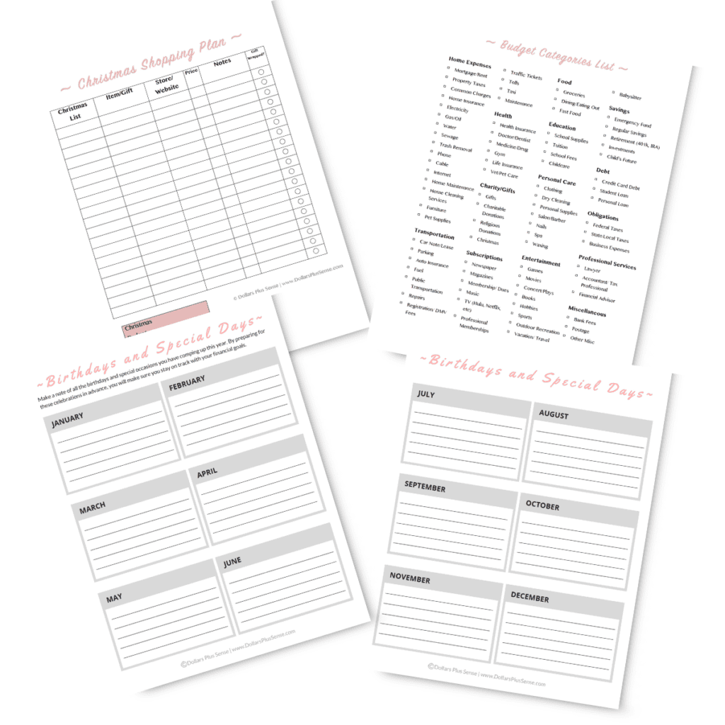 Personal Finance Binder Sale Landing Page - DOLLARS PLUS SENSE