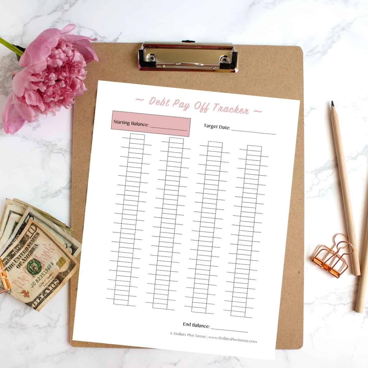 Debt Payoff Tracker Landing Page - DOLLARS PLUS SENSE