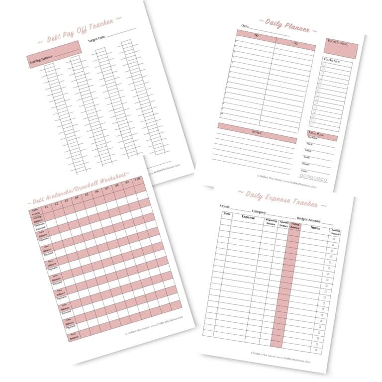 Personal Finance Binder Sale Landing Page – DOLLARS PLUS SENSE