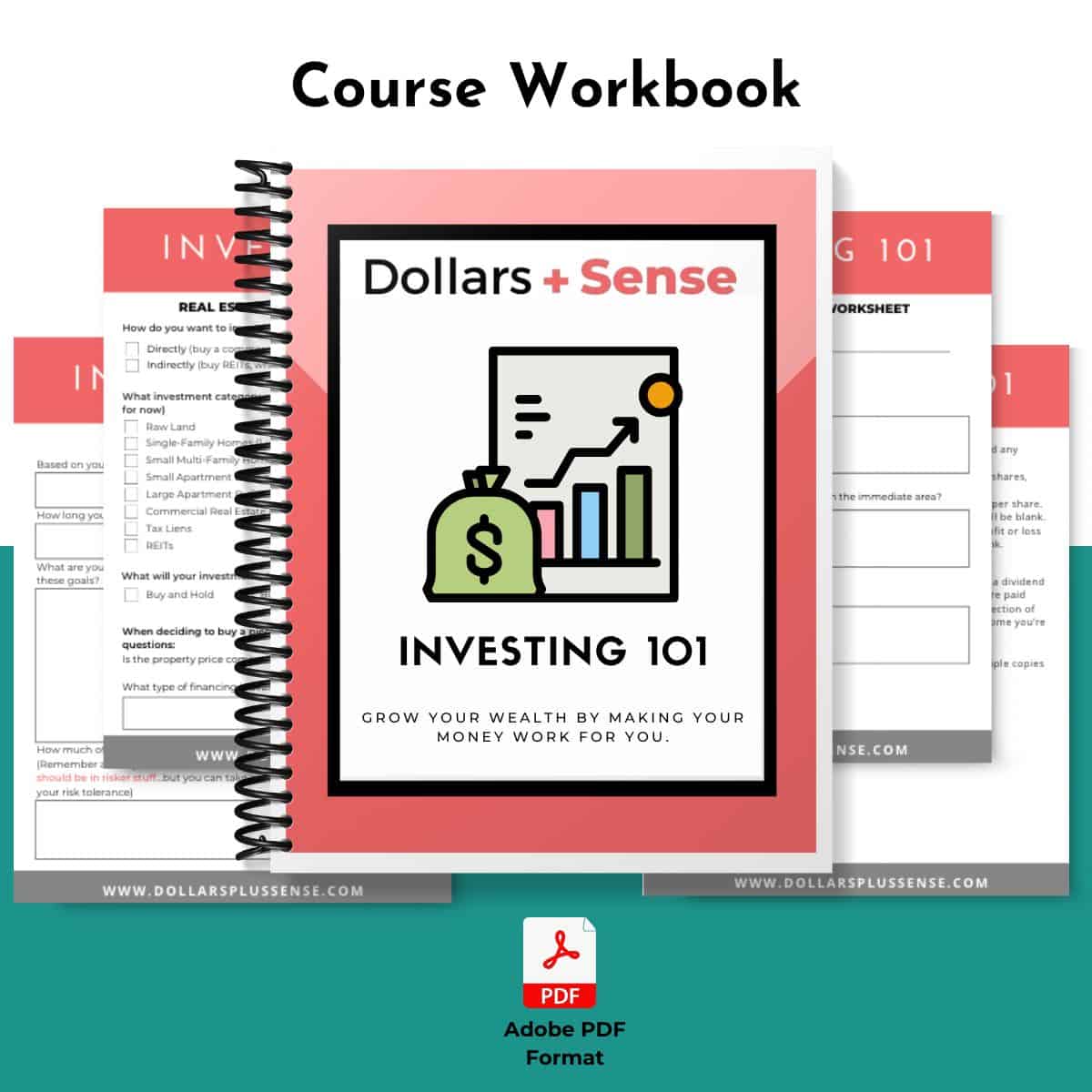 Investing 101 - DOLLARS PLUS SENSE